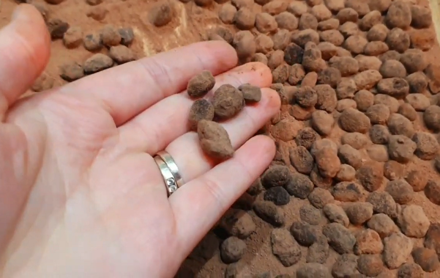 Grains De Café à Croquer - Faire à La Maison