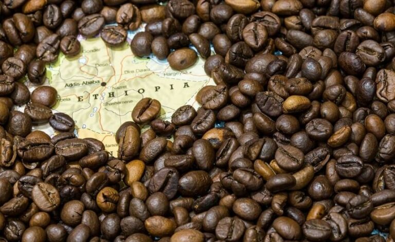D’où Vient Le Café : Origine De Plantations Et De Boissons