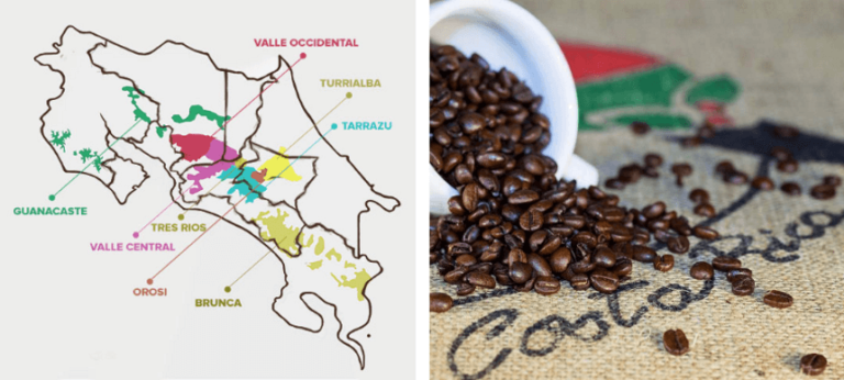 Café Du Costa Rica : Culture Et Particularités